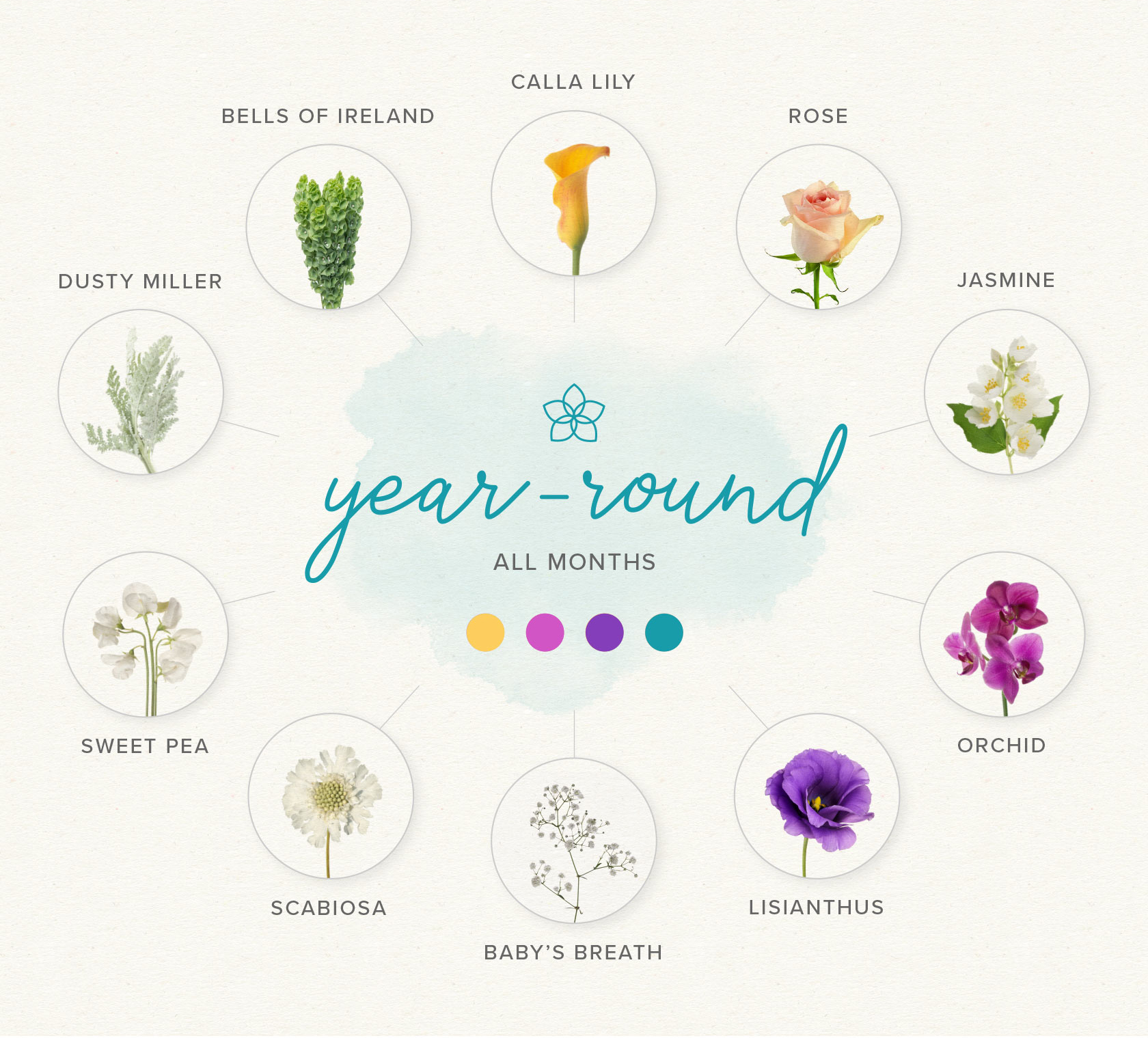 Home - The Bumbling Bee